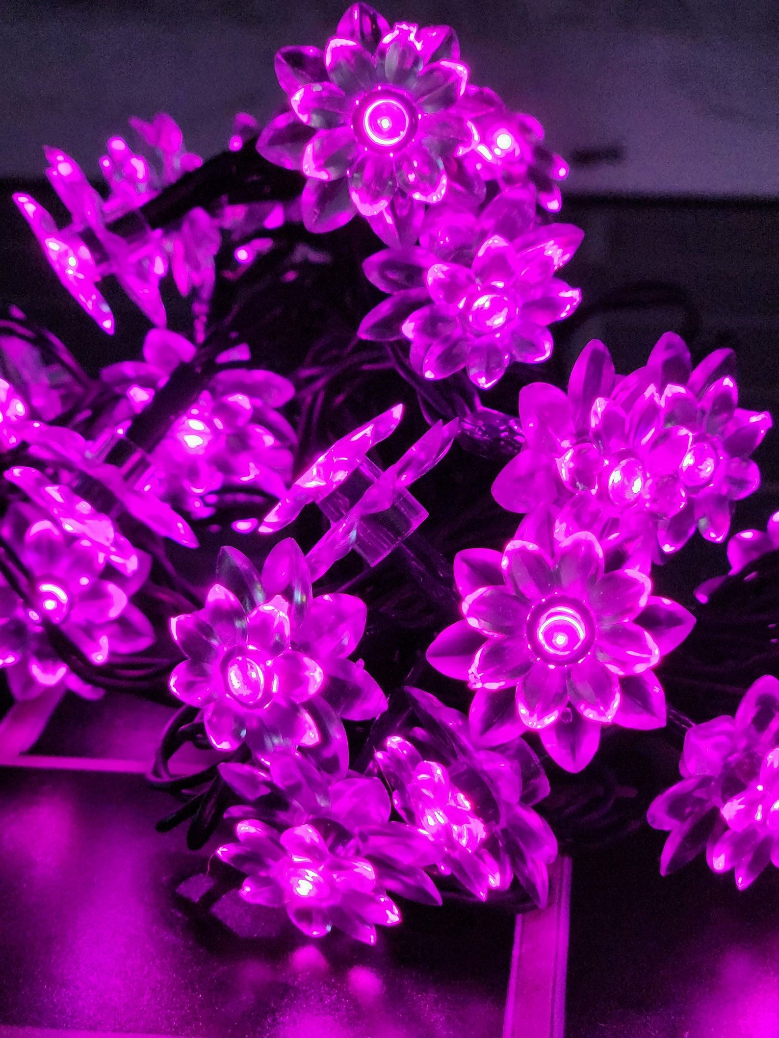 Solar Lotus Flower String Lights – 30 LED Lights | 21 Ft Strand | Pick ...