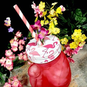 Pink Flamingo Jar – 18 Oz | Choose Flamingo Lid or Solar Light Lid ...