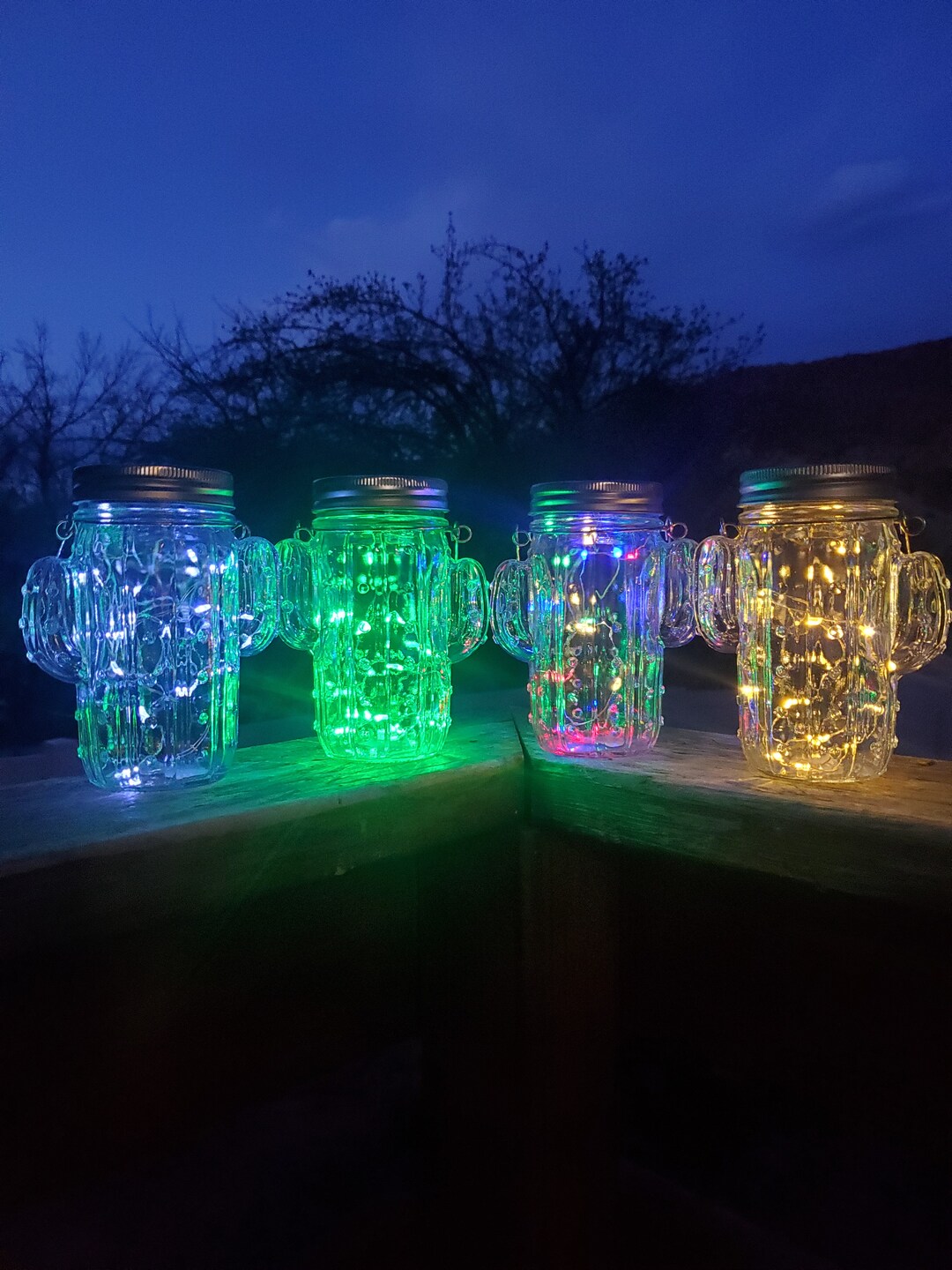 Solar Garden Lanterns. Cactus - Etsy