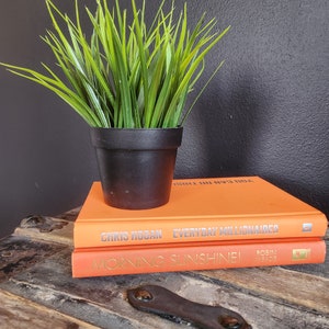 Custom Decorative Book Stack | Orange Office Decor | Orange Bookshelf ...