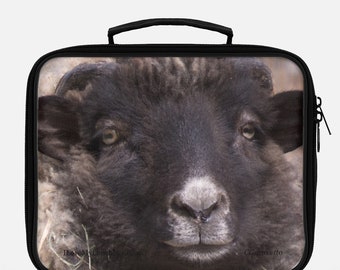 Sheep Lunch Box - Etsy