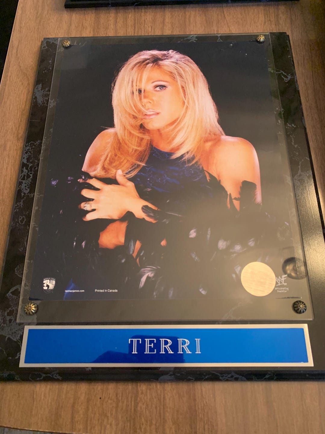 Vintage " Terri " WWE Diva's Photograph on Hard Plaque Racing ...