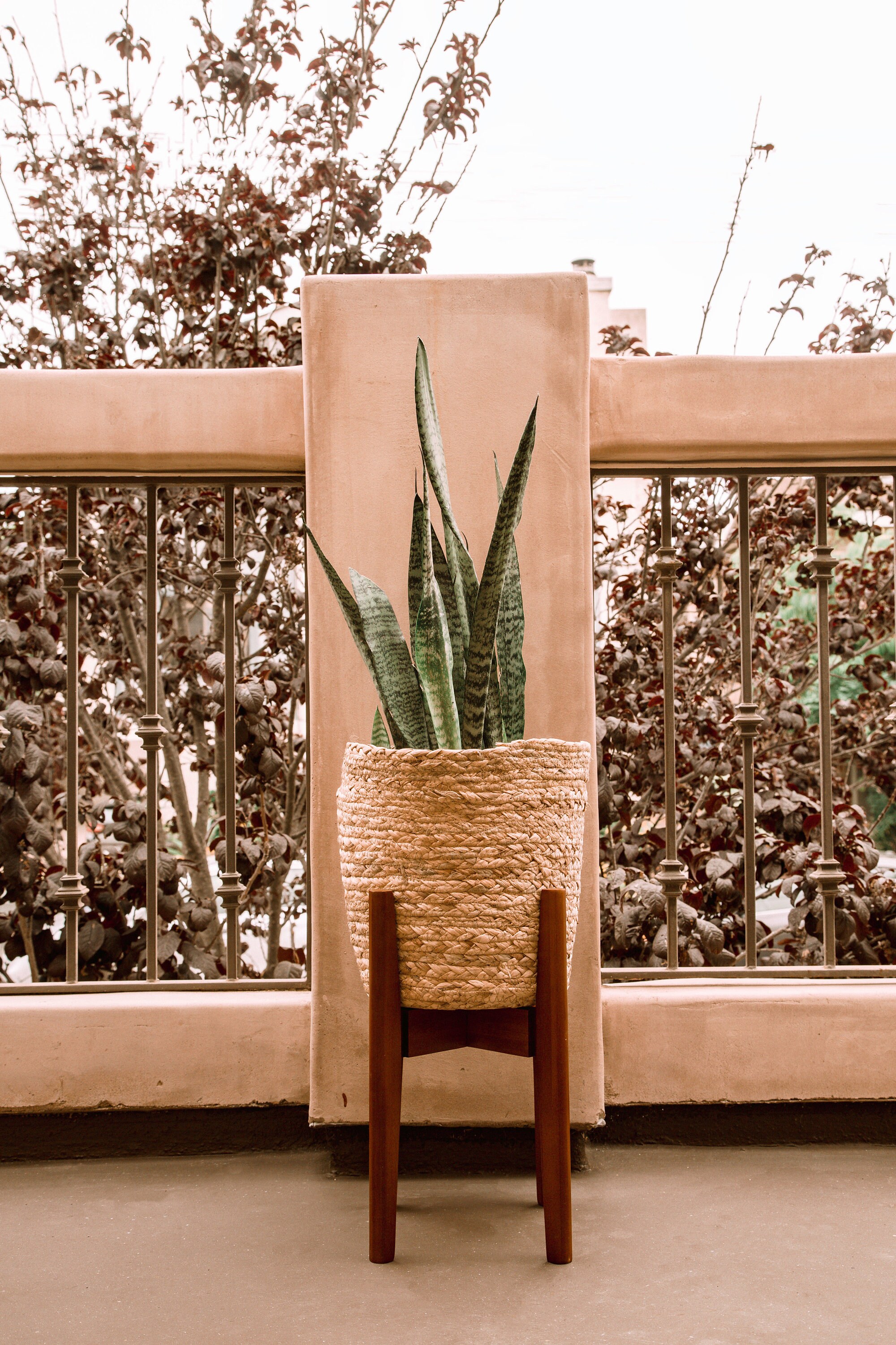 Wooden Walnut Plant Stand Modern Solid Wood Stool Mid Century - Etsy