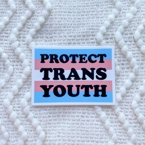 Protect Trans Youth Sticker, Protect Trans Kids Sticker, Trans Rights ...
