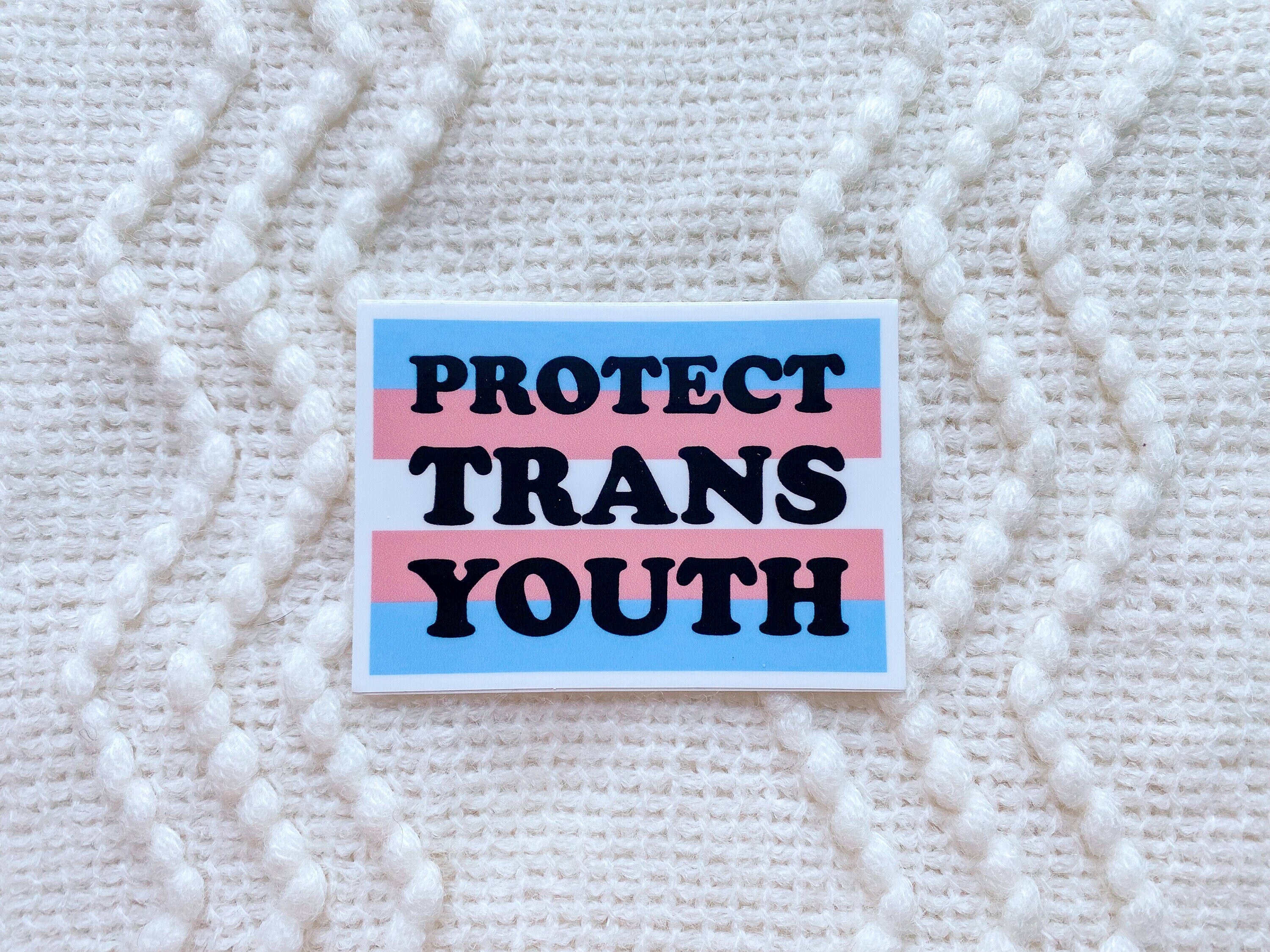 Protect Trans Youth Sticker Protect Trans Kids Sticker Trans | Etsy