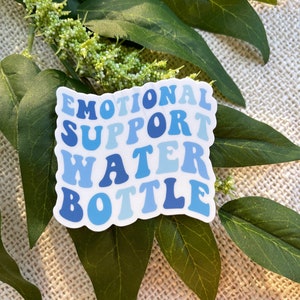 Emotional Support Water Bottle Sticker, Drink Water Sticker, Stay ...
