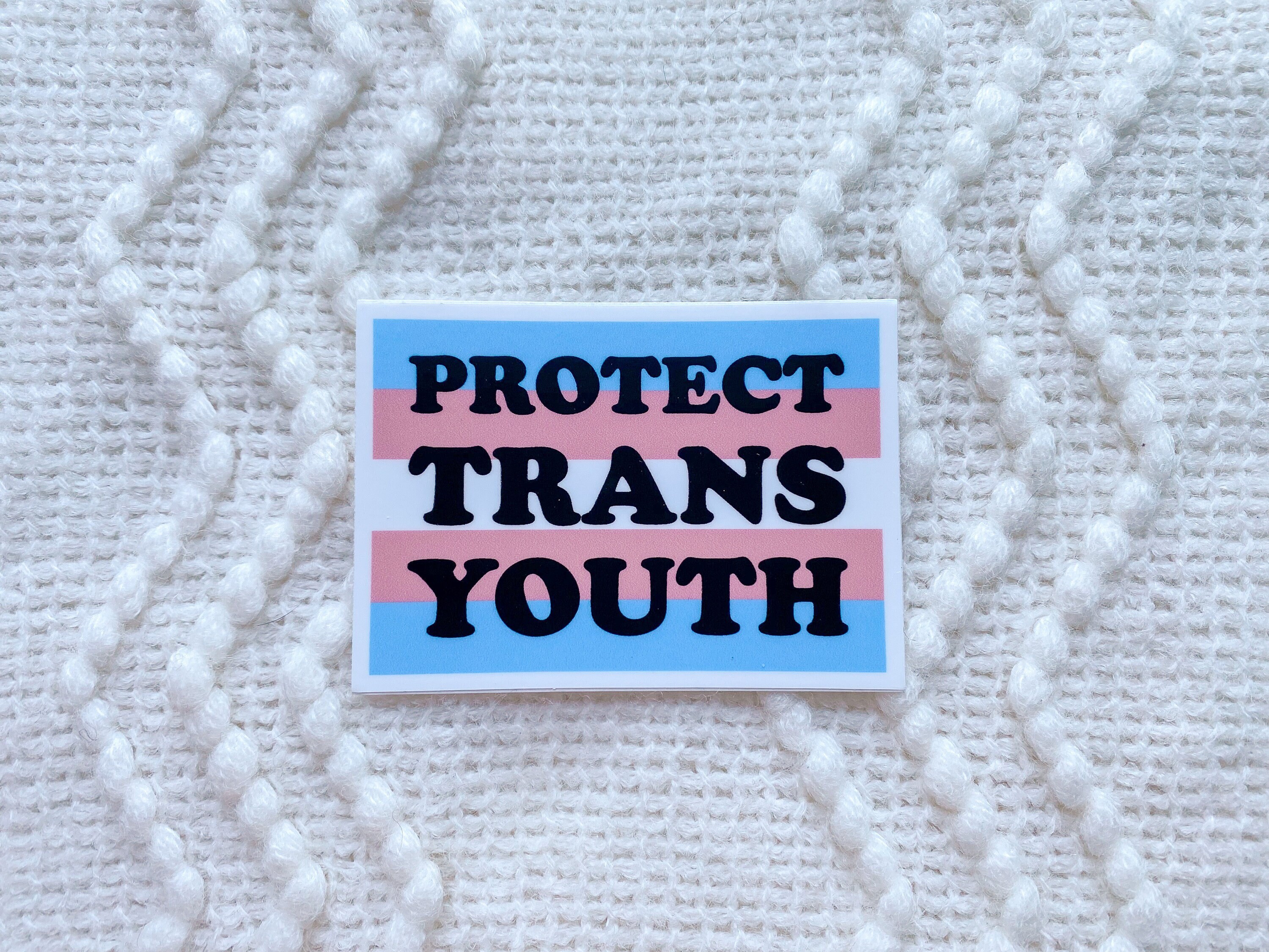 Protect Trans Youth Sticker, Protect Trans Kids Sticker, Trans Rights ...