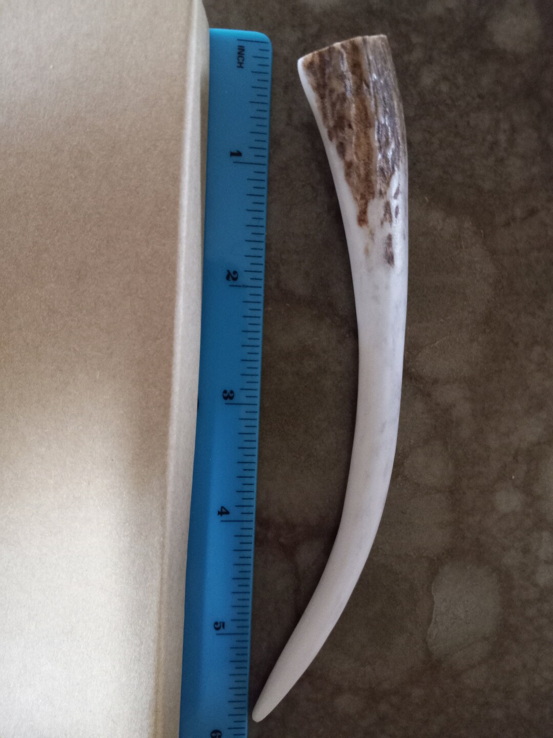 One Prong Antler Hair Fork Left Curve 5.5 - Etsy