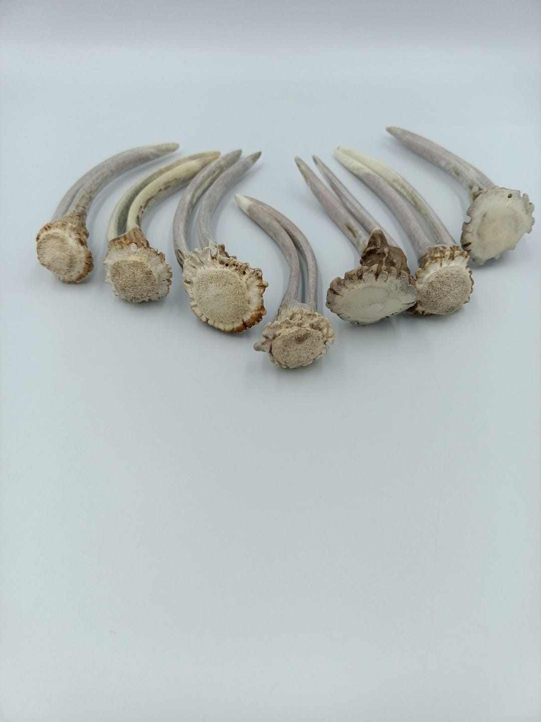 Natural Antler Hair Fork Burr Ends - Etsy