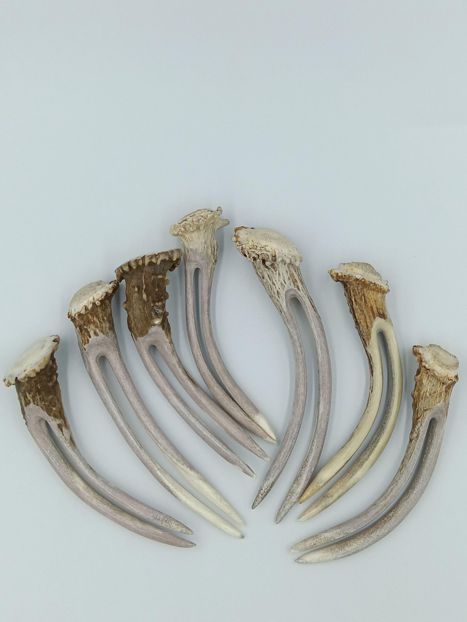 Natural Antler Hair Fork Burr Ends - Etsy