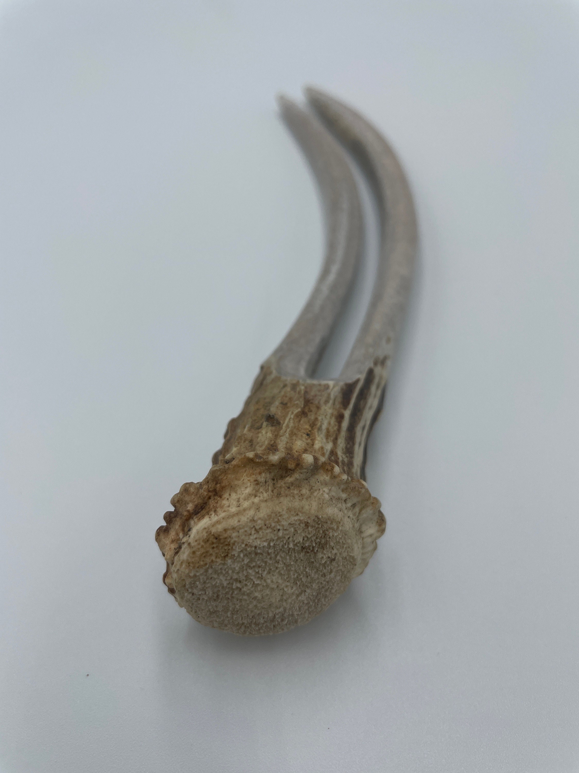Natural Antler Hair Fork Burr Ends - Etsy