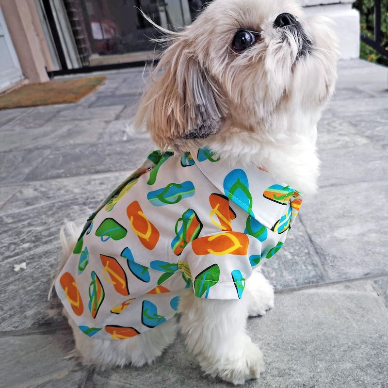 Dog Shirts for Dogs - Etsy