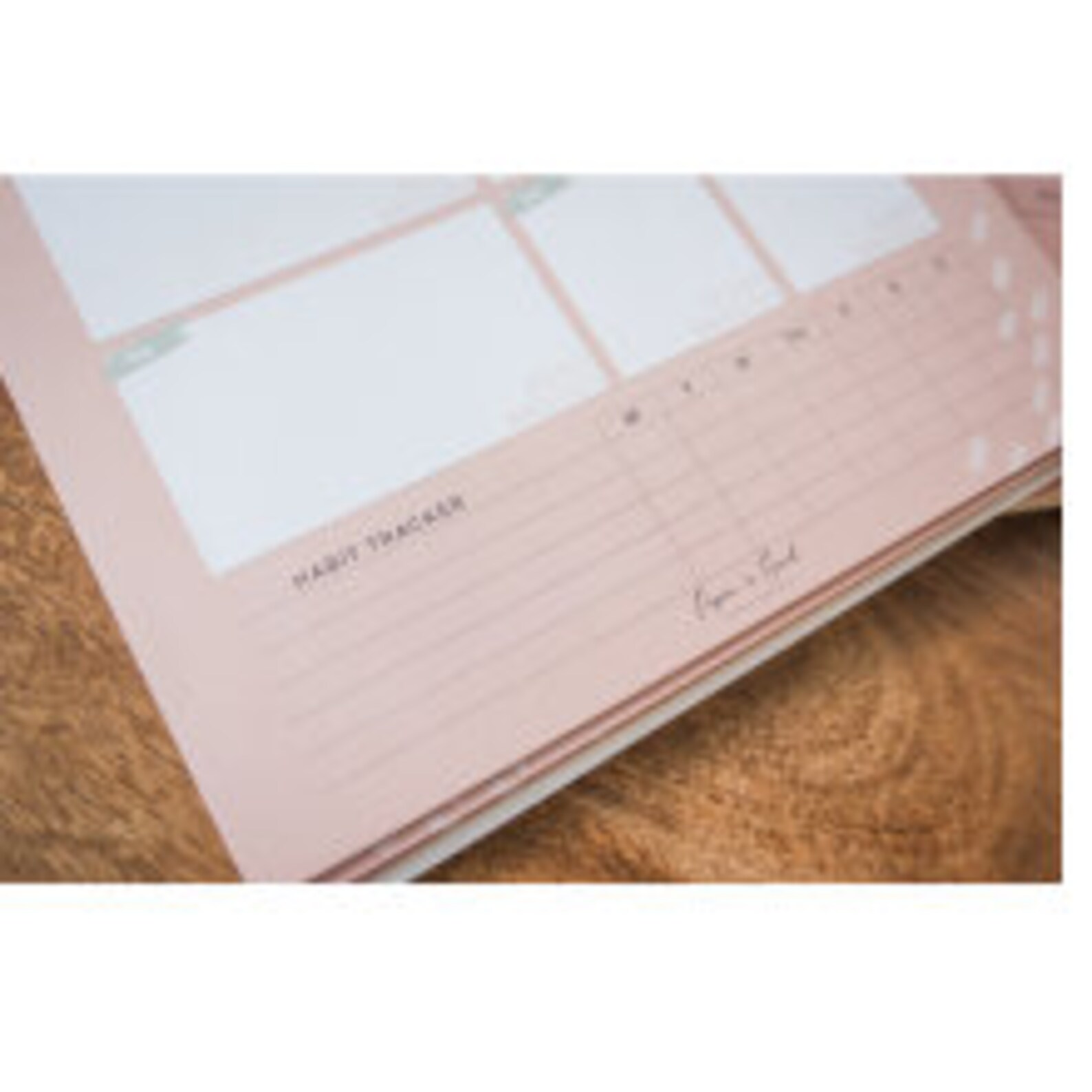 Undated Weekly Planner Spiral Notepad- 52 Weeks – to Do List Notebook ...