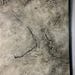 Texture Stamp, Stamp Mat, Texture Mat for Plaster, Transform Walls With ...
