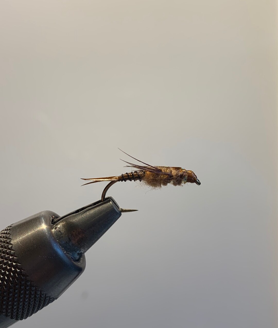 Golden Stonefly 2 - Etsy