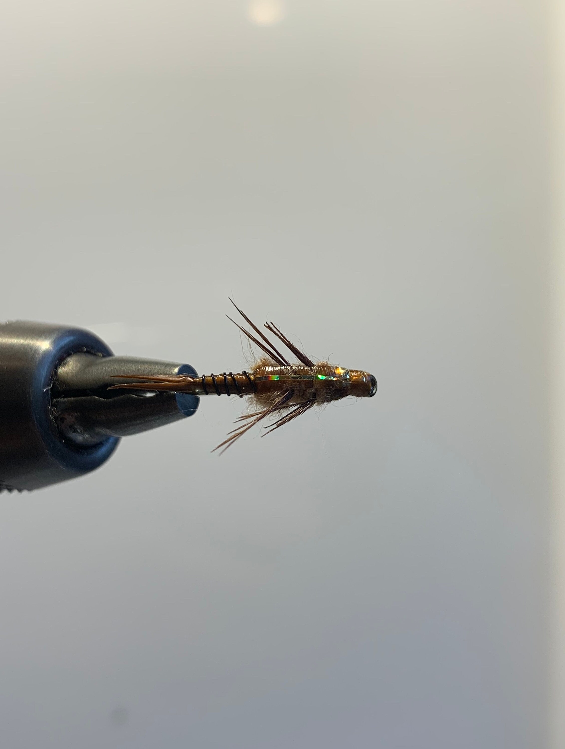 Golden Stonefly 2 - Etsy