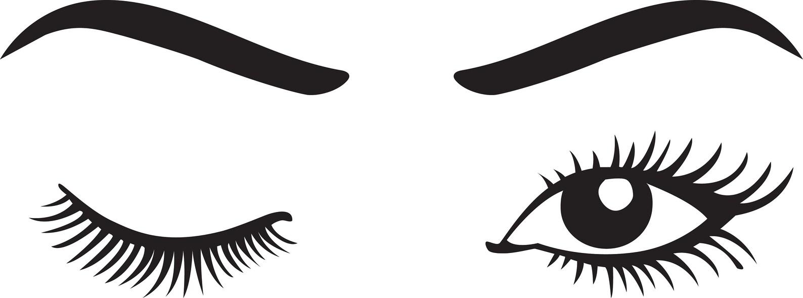 Womens Eyelids Svg Womens Eyebrow Svg Winking Eyelashes | Etsy