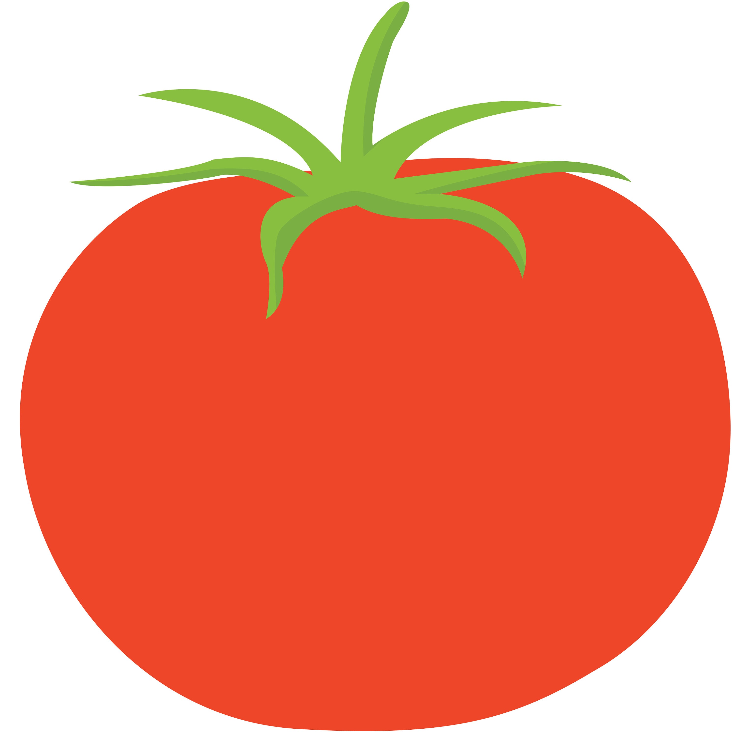 Tomato Pictures Clip Art