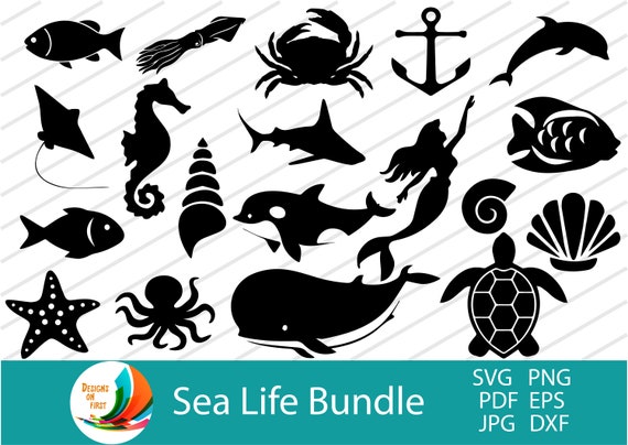 Sea Life SVG Marine Life SVG Mermaid SVG | Etsy