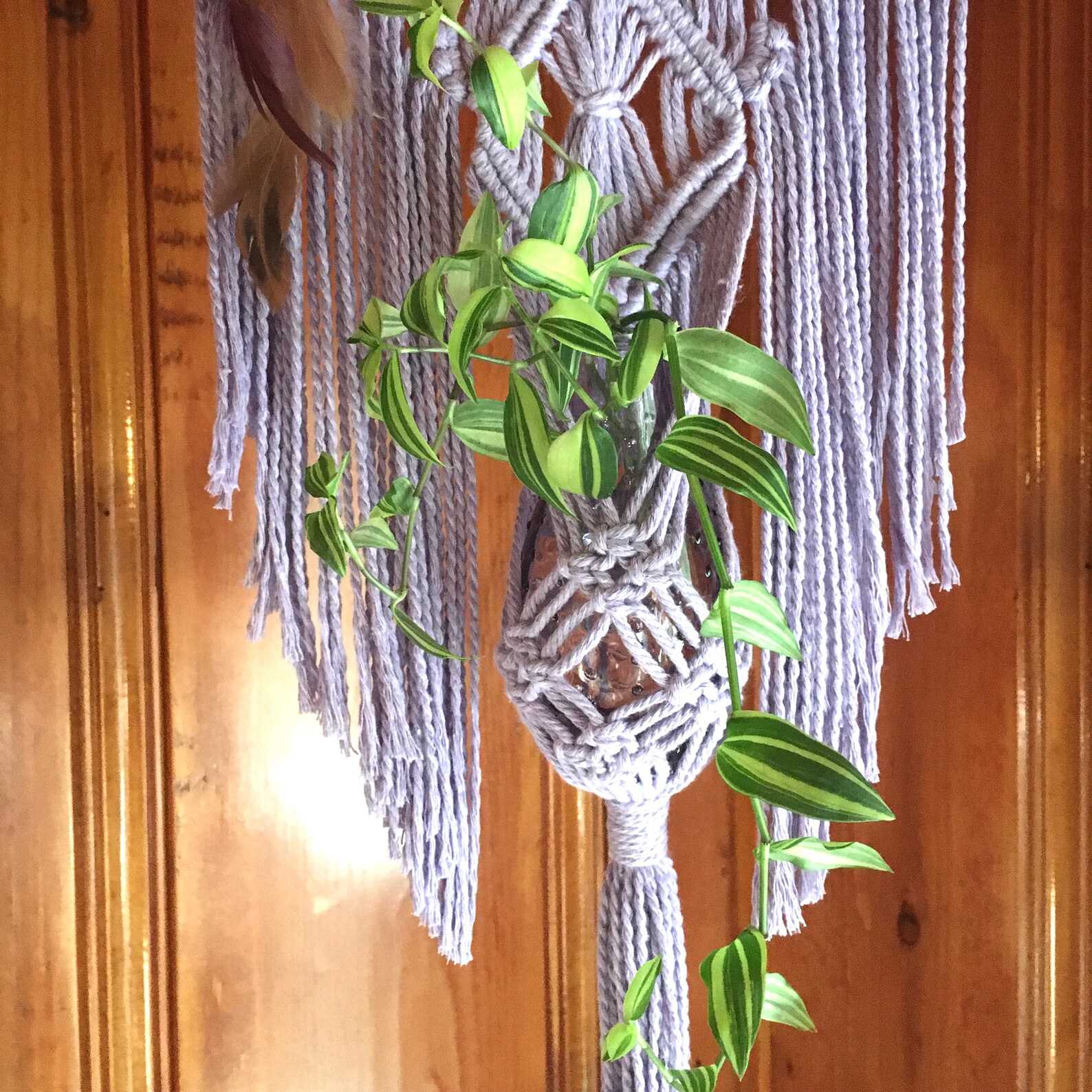 Macrame Plant Hanger Driftwood Mobile Plant Propagation Bohemian Home ...