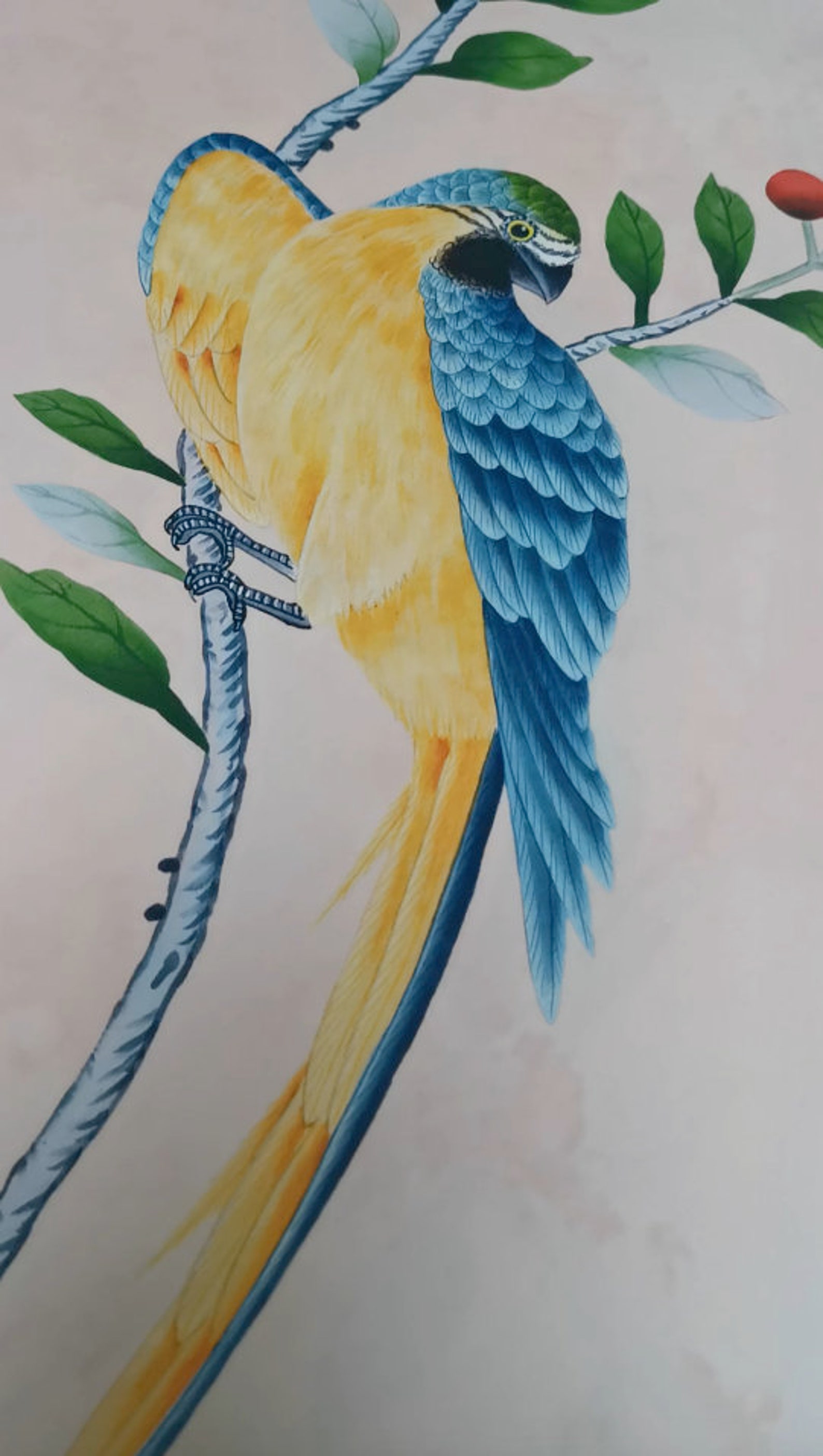 Amazonia Wallpaper-tropical Jungle Wallpaper-tropical - Etsy