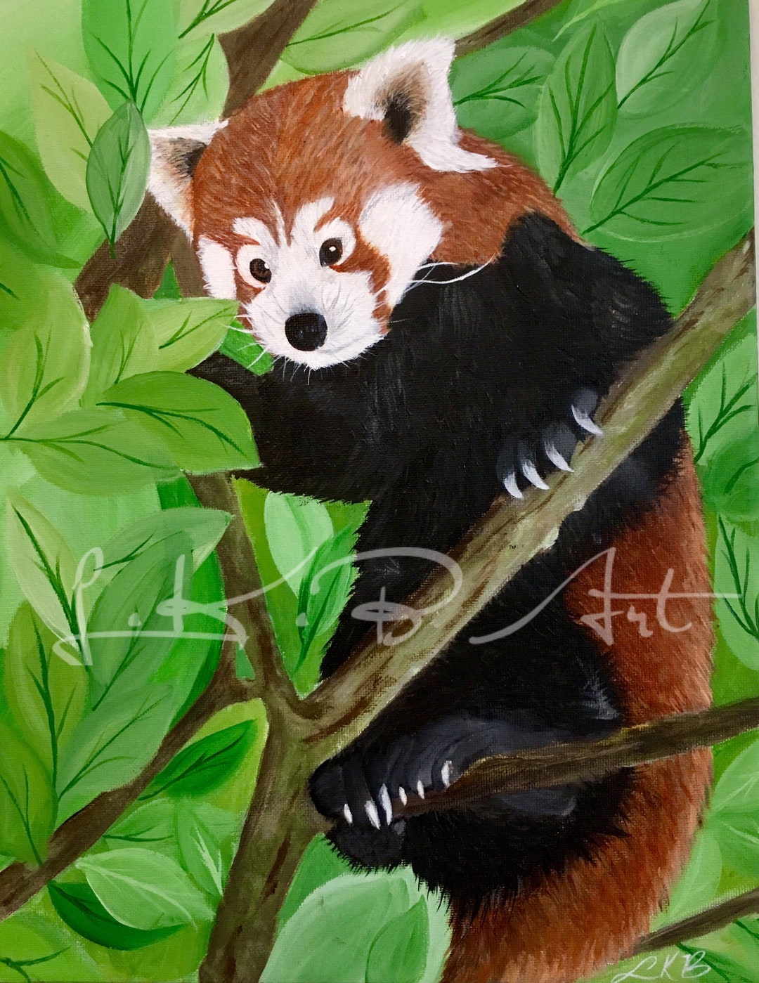Print "red Panda" - Etsy