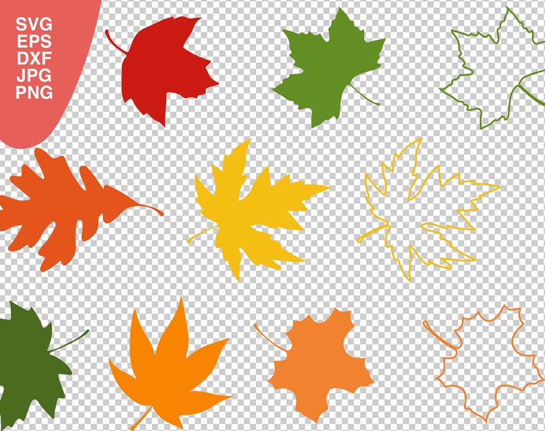 Fall Leaf SVG Bundle Fall Leaves Set Leaf Clipart Leaf Svg - Etsy