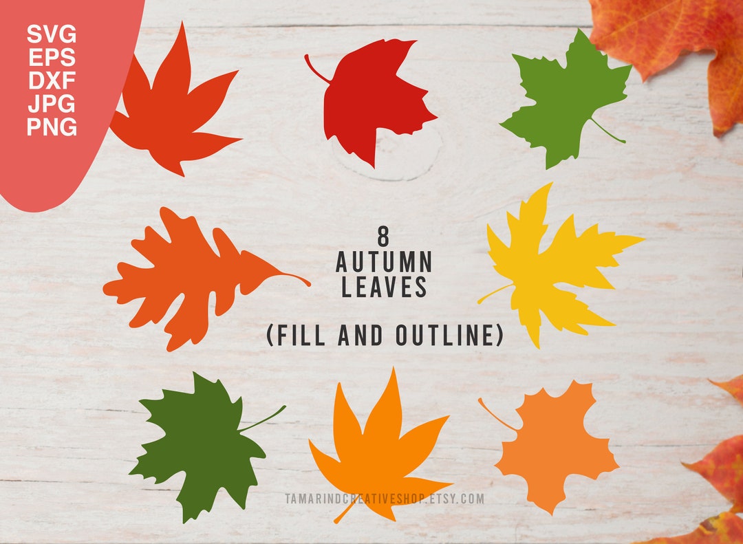 Fall Leaf SVG Bundle Fall Leaves Set Leaf Clipart Leaf Svg - Etsy