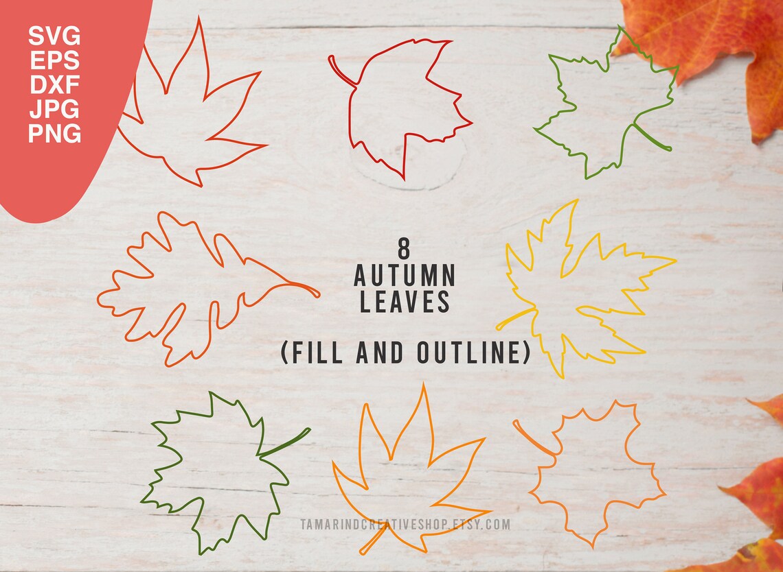 Fall Leaf SVG Bundle Fall Leaves Set Leaf Clipart Leaf Svg - Etsy