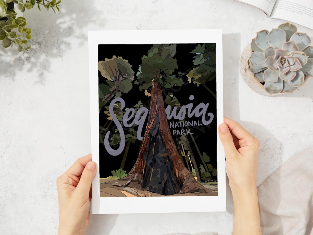 Sequoia National Park Print – Towering Redwoods Digital Painting - Etsy