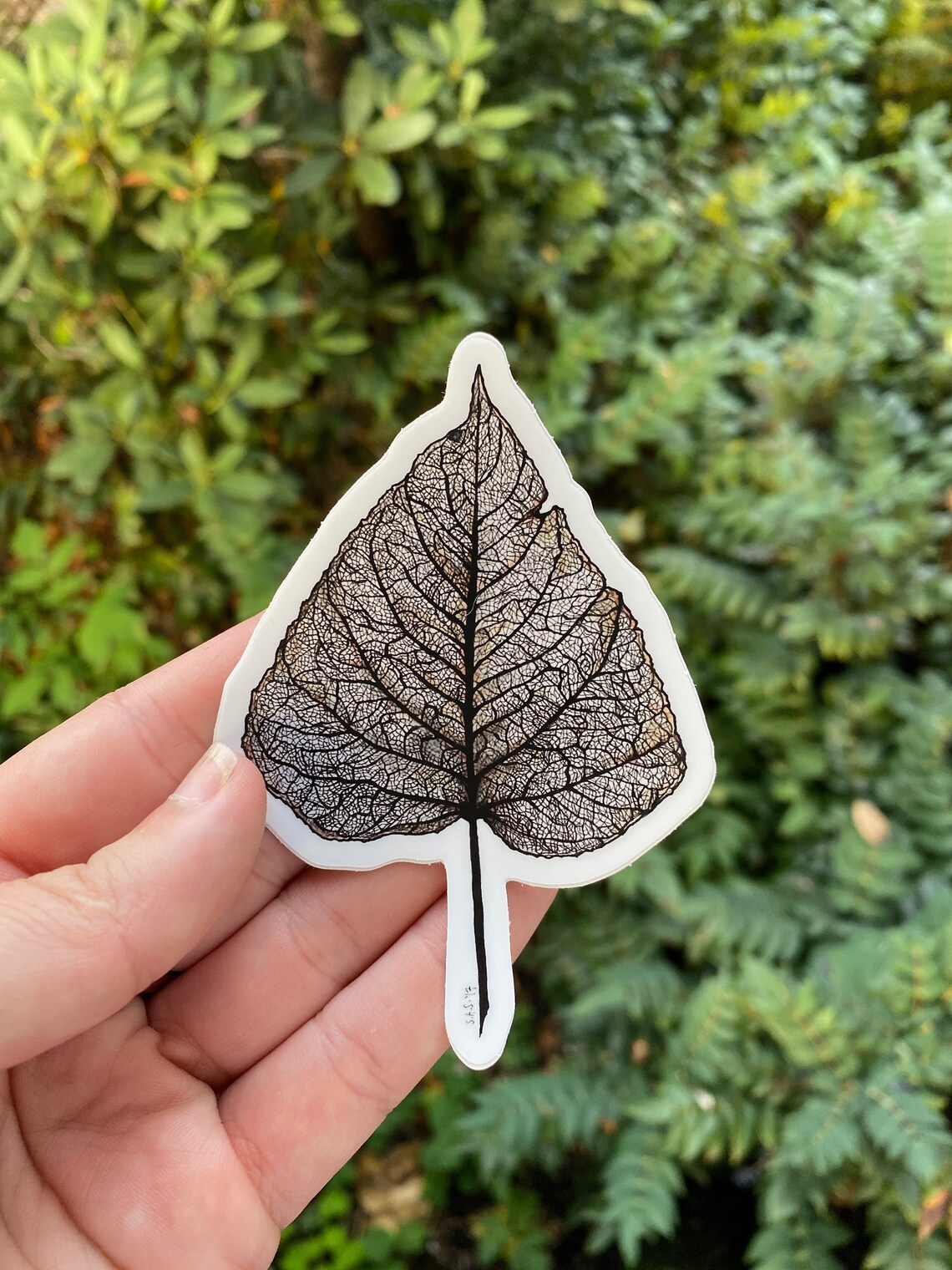 Illustrated Leaf 2.7" X 4" Vinyl Sticker - Etsy Australia