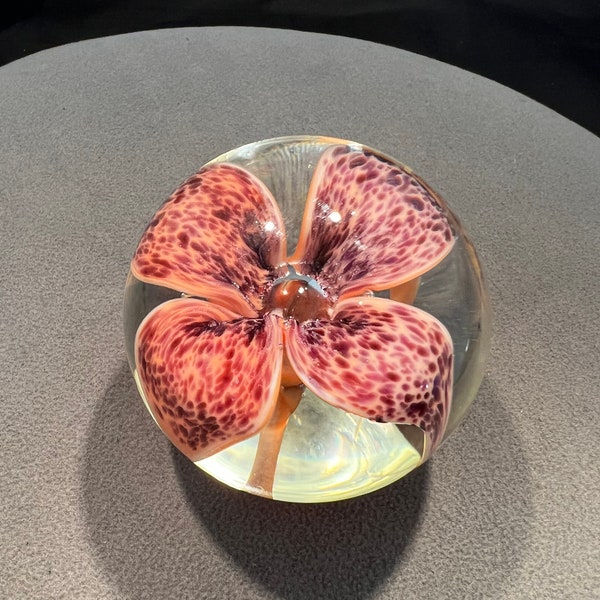 Signed Paperweight - Etsy