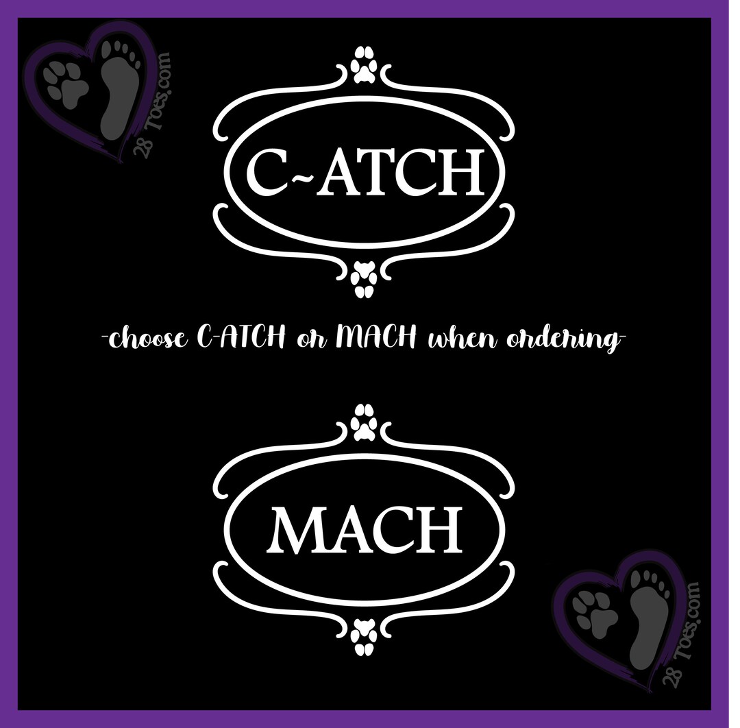 C-ATCH / MACH / PACH Sticker: Dog Agility Vinyl Sticker. Other Titles ...