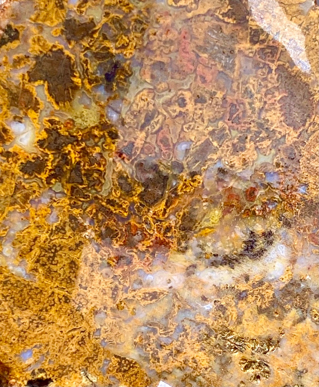 Hard to Find Quetzal Agate End Cut Slab, Unpolished, Lapidary ...