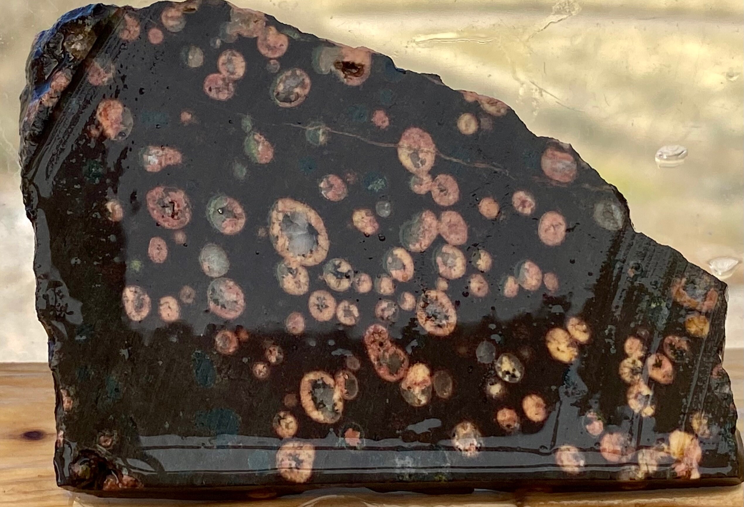Rare Chinese Orbicular Ocean Jasper Unpolished Slab - Etsy