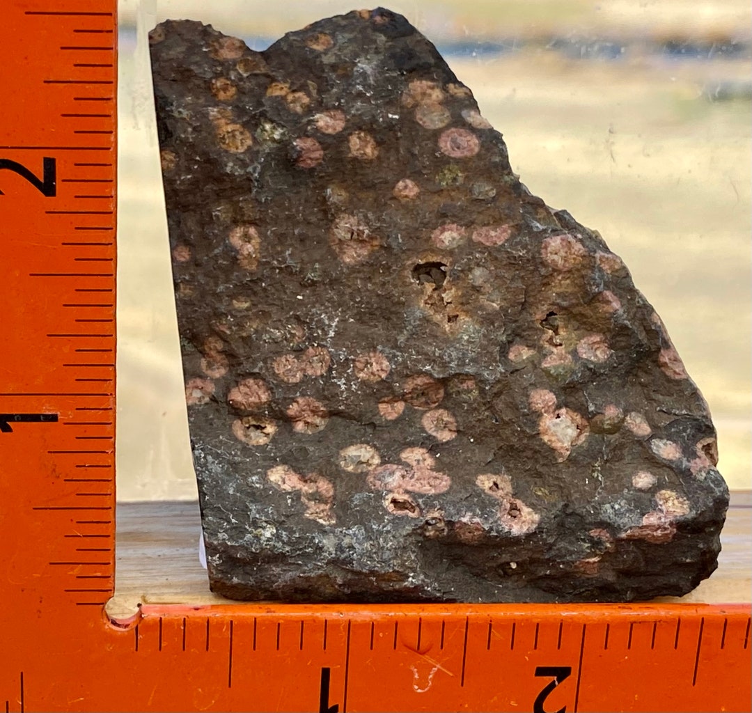 Rare Chinese Orbicular Ocean Jasper Unpolished End Chunk - Etsy