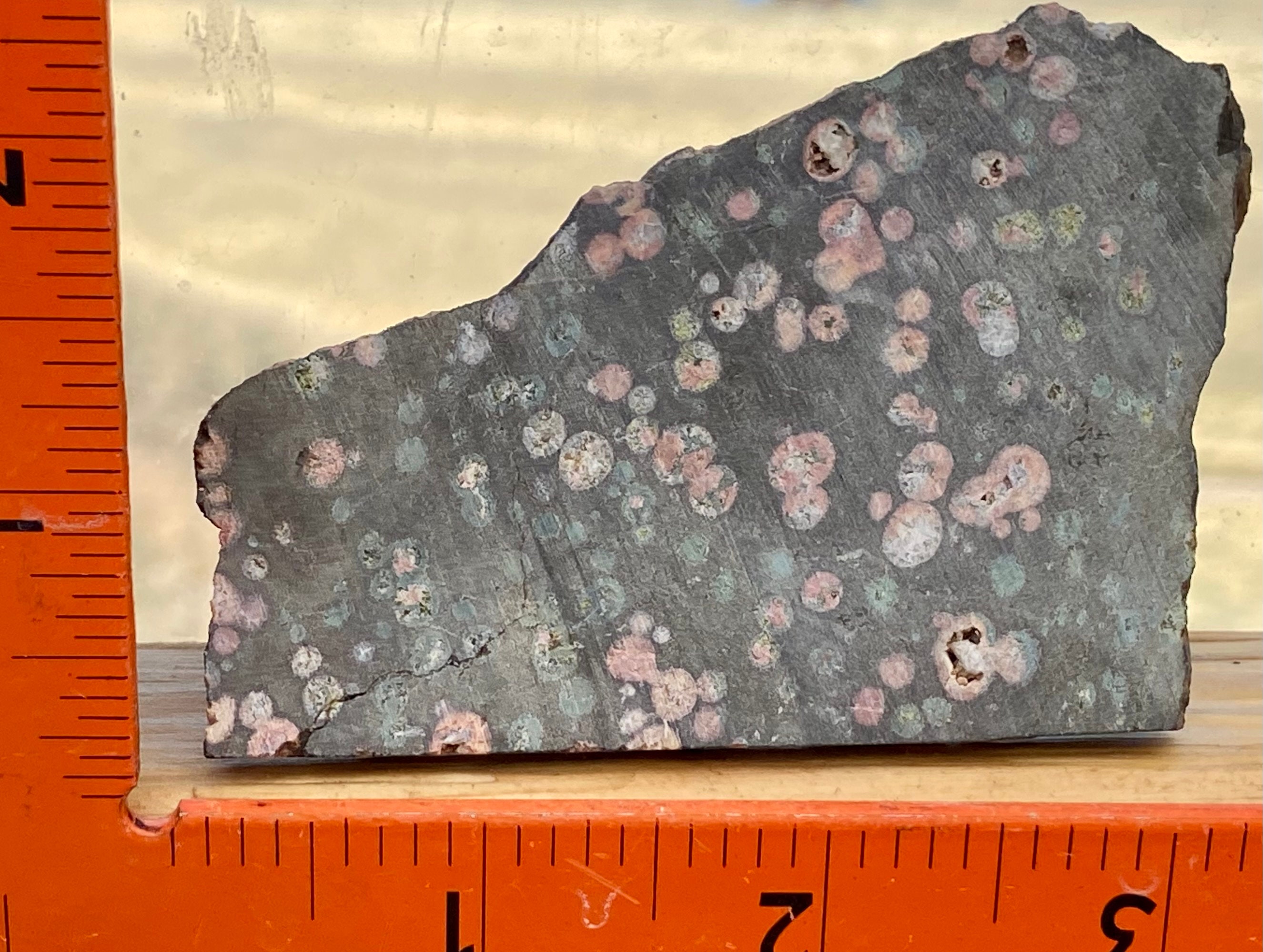 Rare Chinese Orbicular Ocean Jasper Unpolished Slab - Etsy