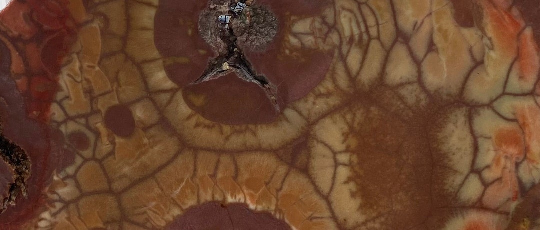 SPIDER WEB RHYOLITE Slab, Lapidary, Cabochons, Jewelry E - Etsy