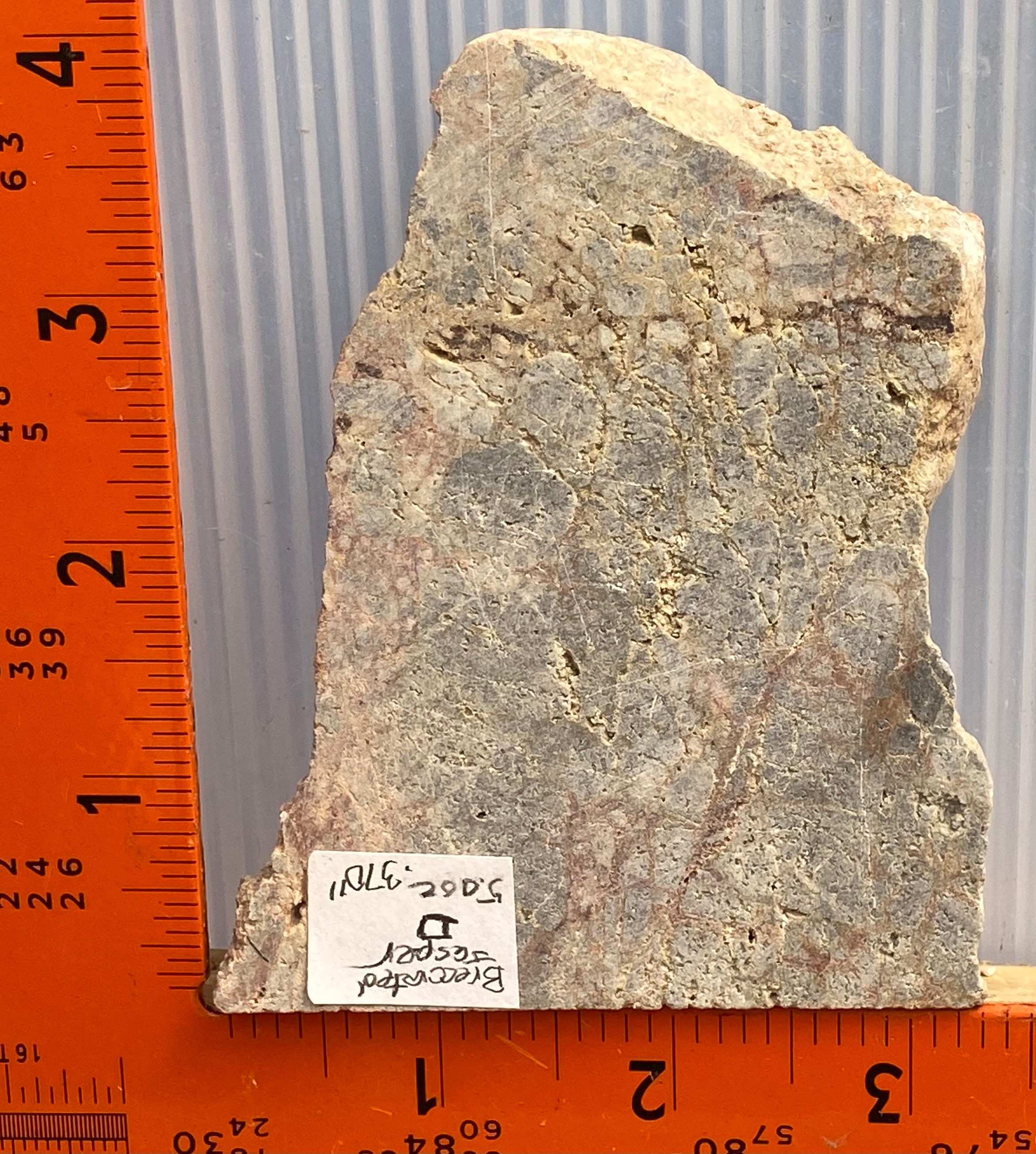 Brecciated Jasper Unpolished Slab Lapidary Cabochons - Etsy