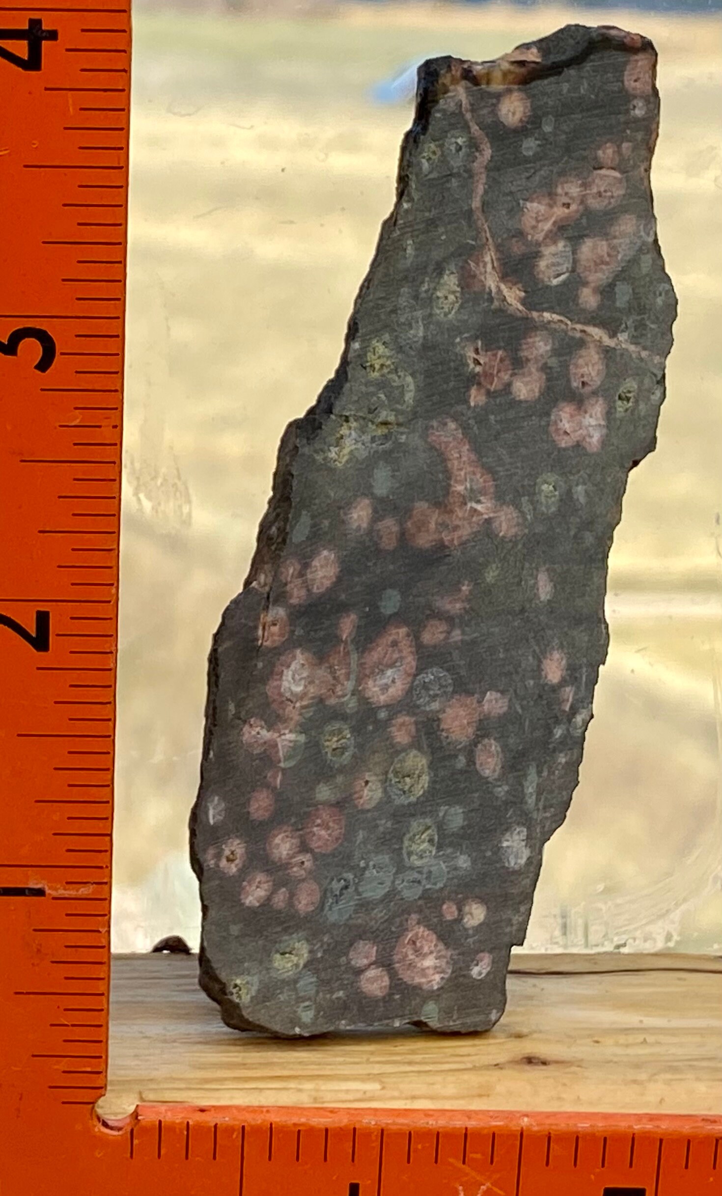 Rare Chinese Orbicular Ocean Jasper Unpolished Slab - Etsy
