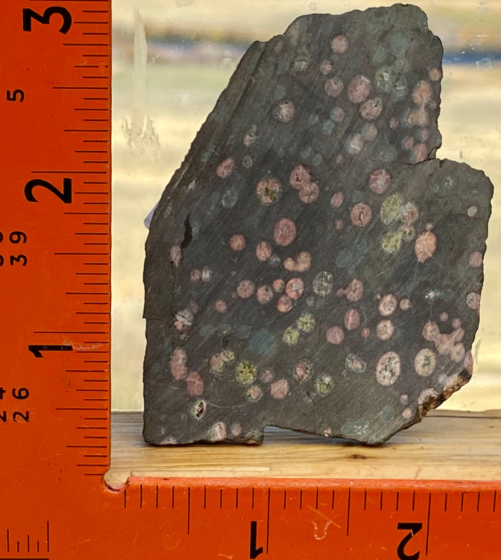 Rare Chinese Orbicular Ocean Jasper Unpolished Slab - Etsy