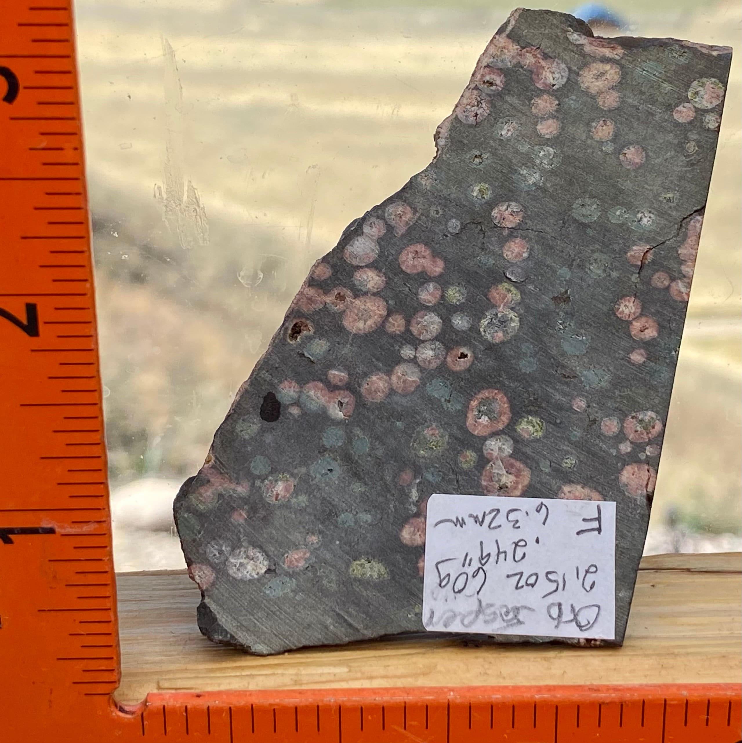 Rare Chinese Orbicular Ocean Jasper Unpolished Slab - Etsy