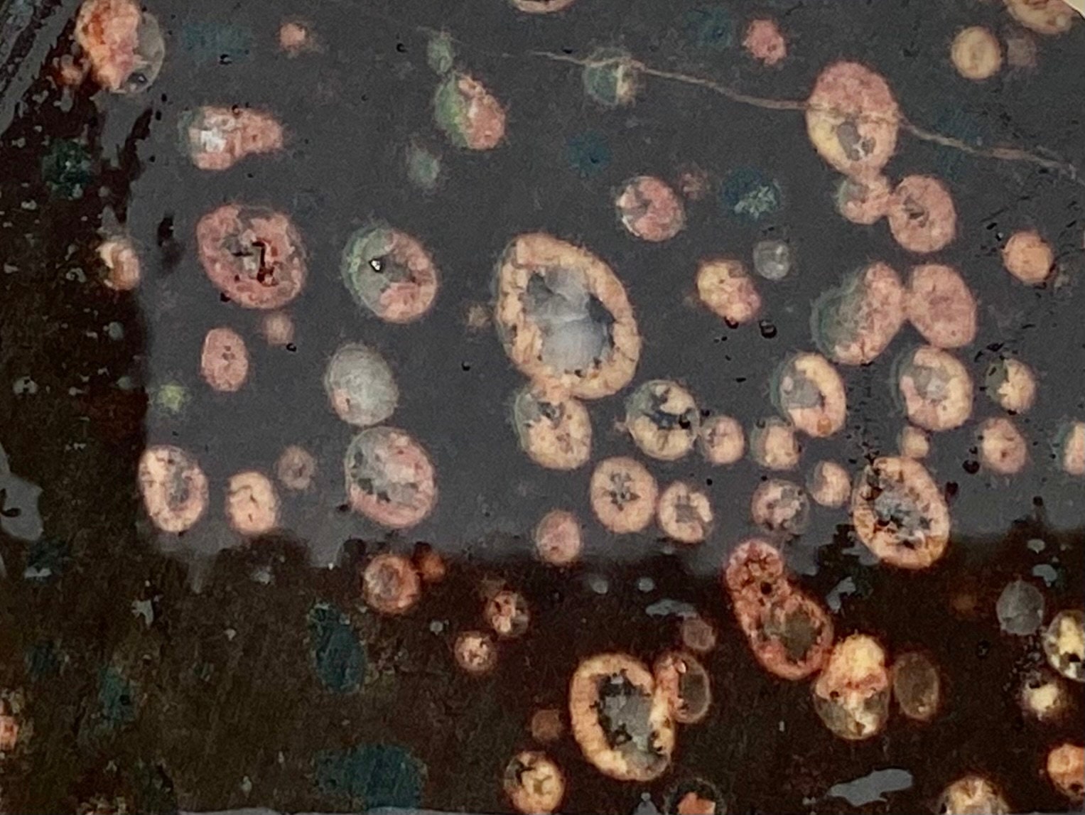 Rare Chinese Orbicular Ocean Jasper Unpolished Slab - Etsy
