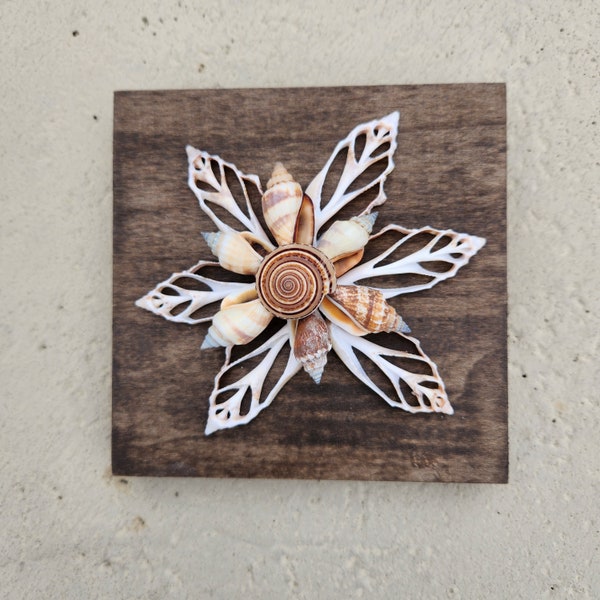 Seashell Decor - Etsy