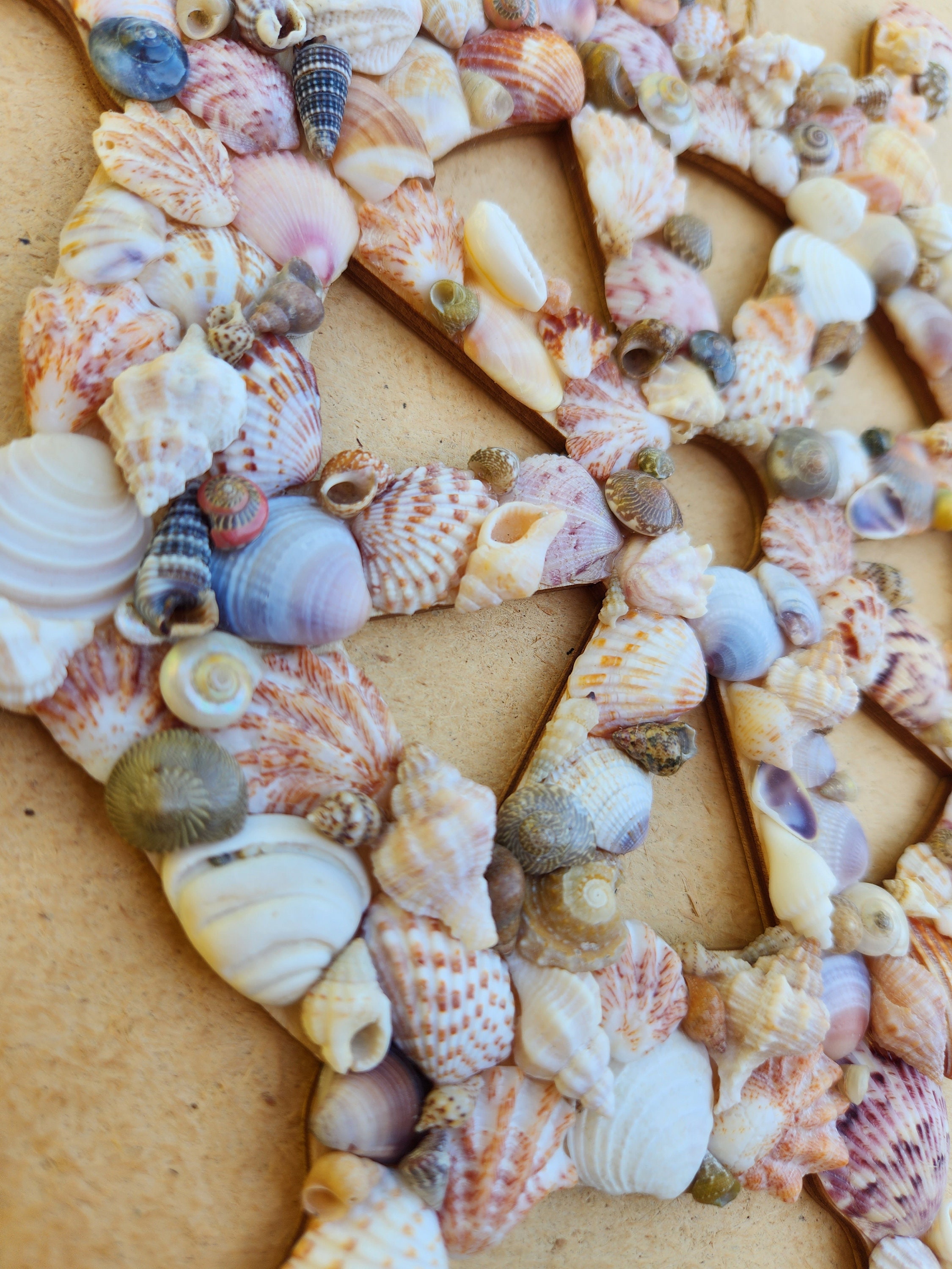 Shell Ship Wheel Wall Decor Natural Seashells Hanging Decoration ...