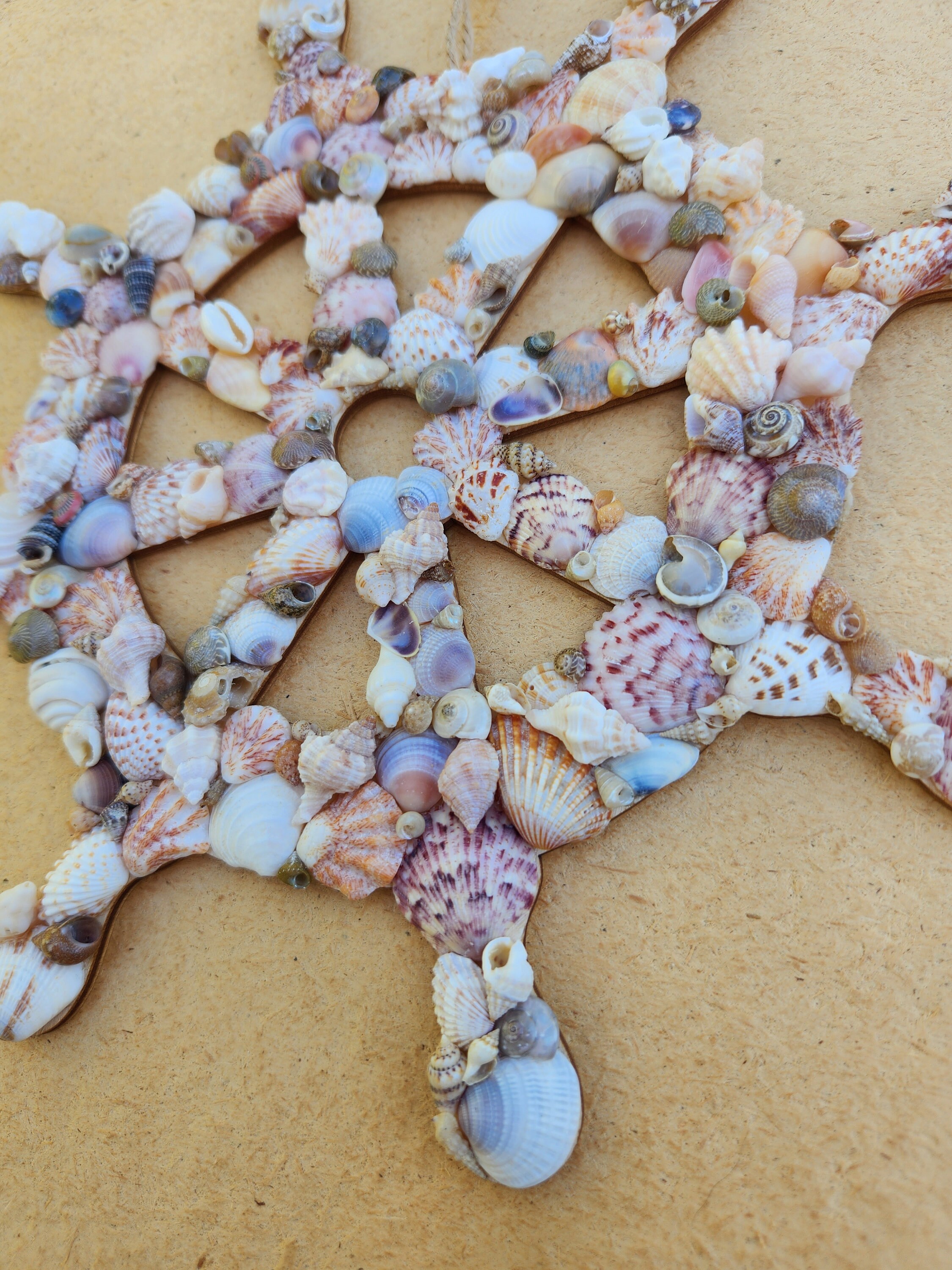 Shell Ship Wheel Wall Decor Natural Seashells Hanging Decoration ...