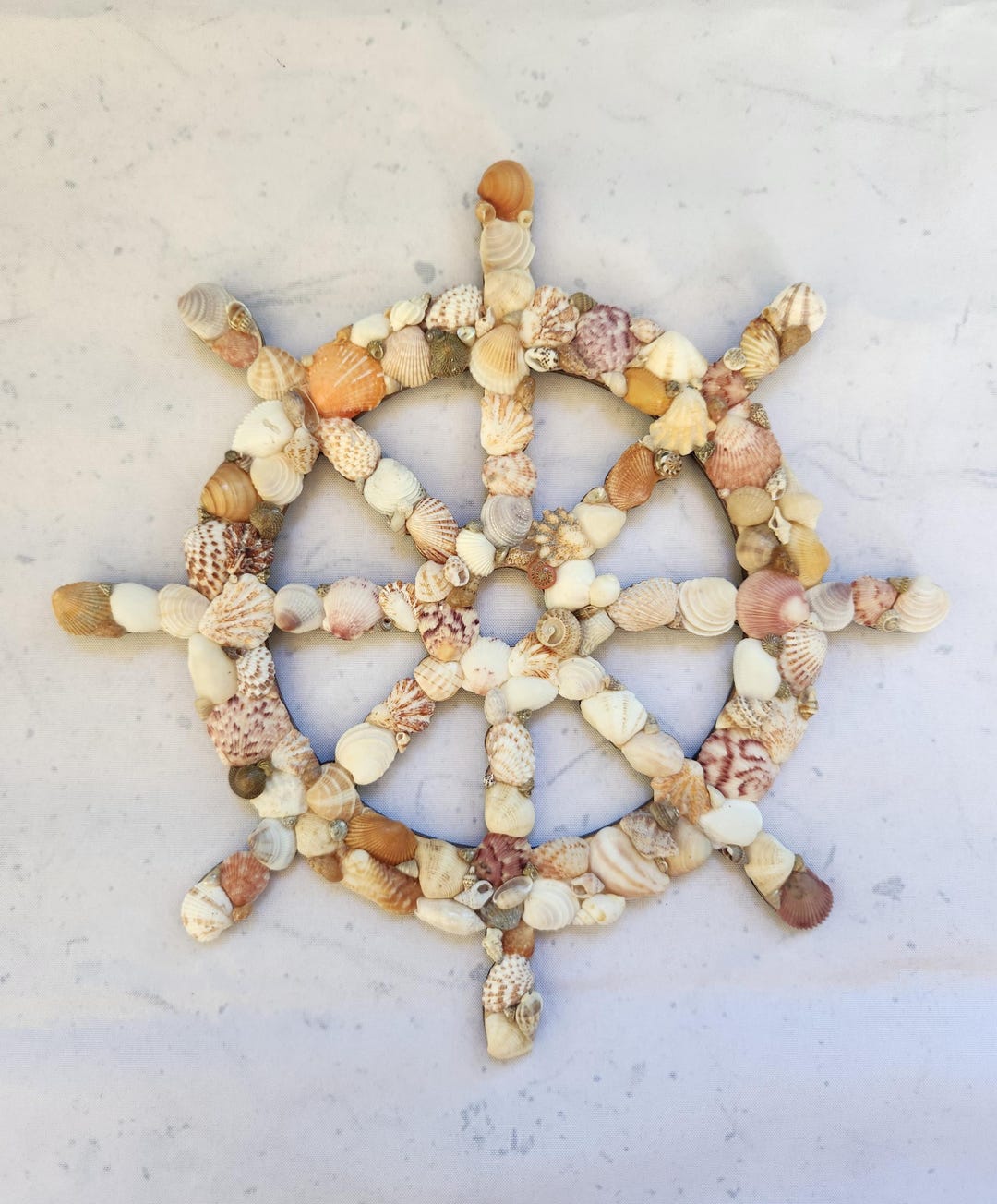 Shell Ship Wheel Wall Decor Natural Seashells Hanging Decoration ...