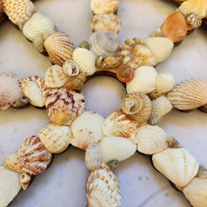 Shell Ship Wheel Wall Decor Natural Seashells Hanging Decoration ...