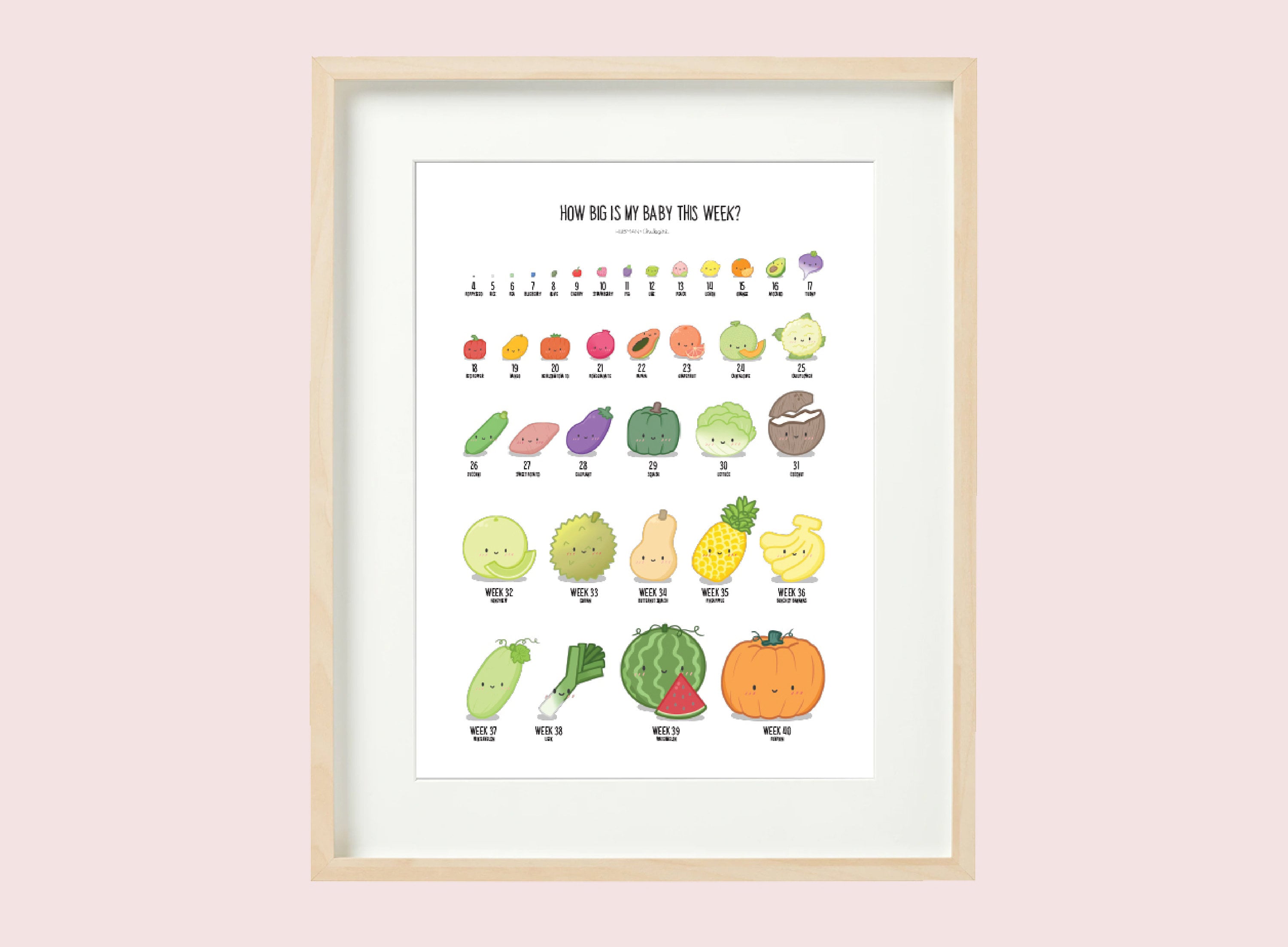 Fetal Growth Chart Fruit