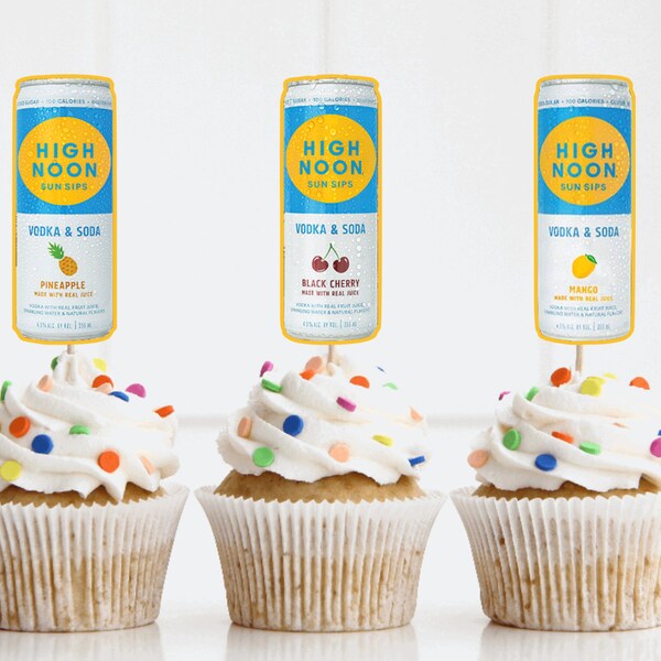 High Noon Seltzer - Etsy